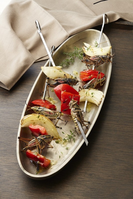 『The Eat-A-BUG cookbook』 | 世界を救わない昆虫食情報 むしくい