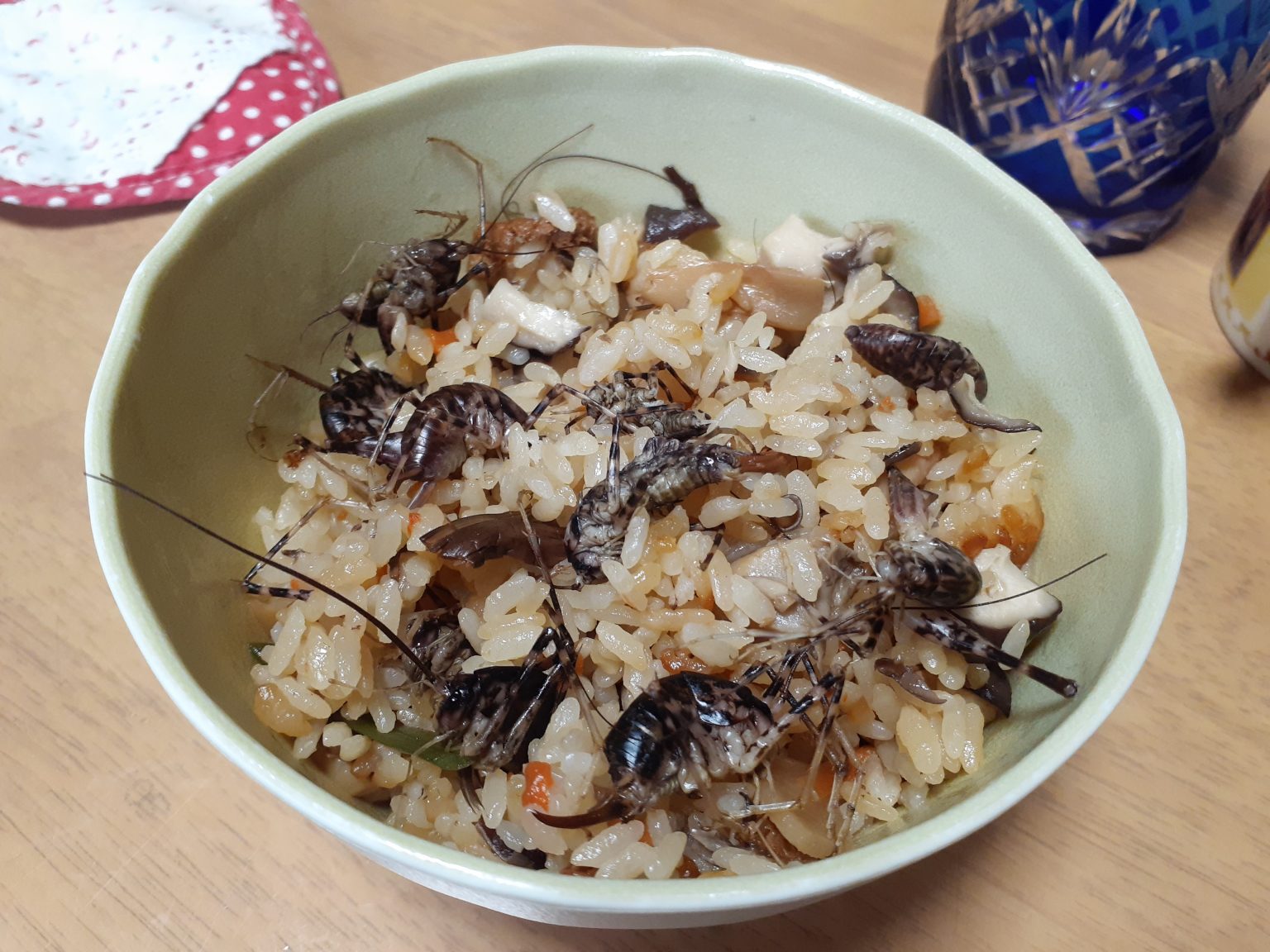 【昆虫料理】カマドウマの釜めし | 世界を救わない昆虫食情報 むしくい